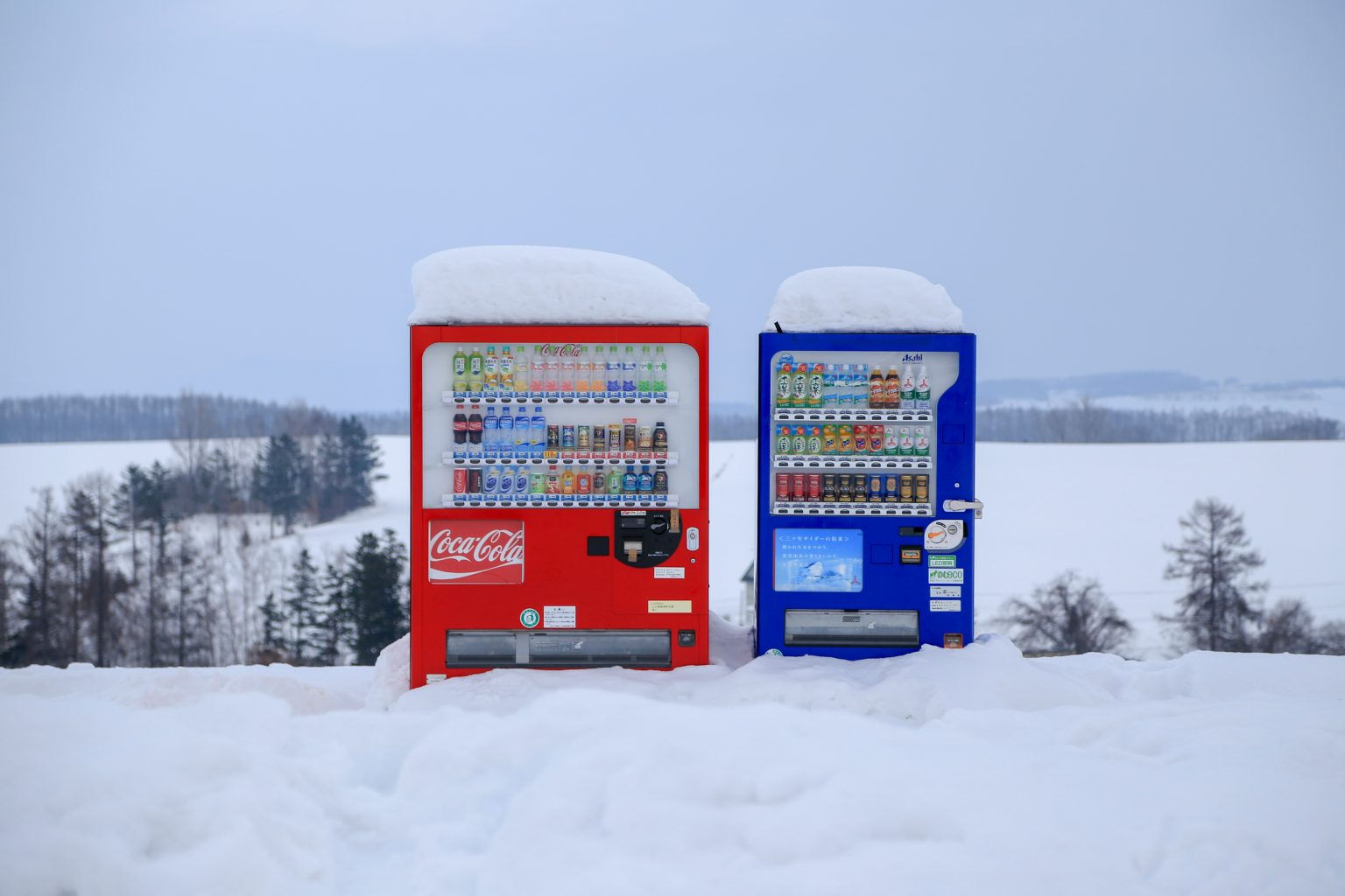 The Potential of A Vending Machine Franchise - Nozomii Vending